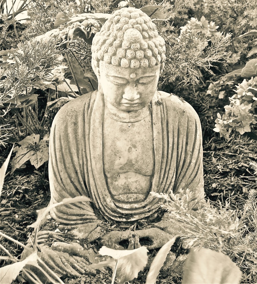 Happy Fifth Anniversary! – The Existential Buddhist