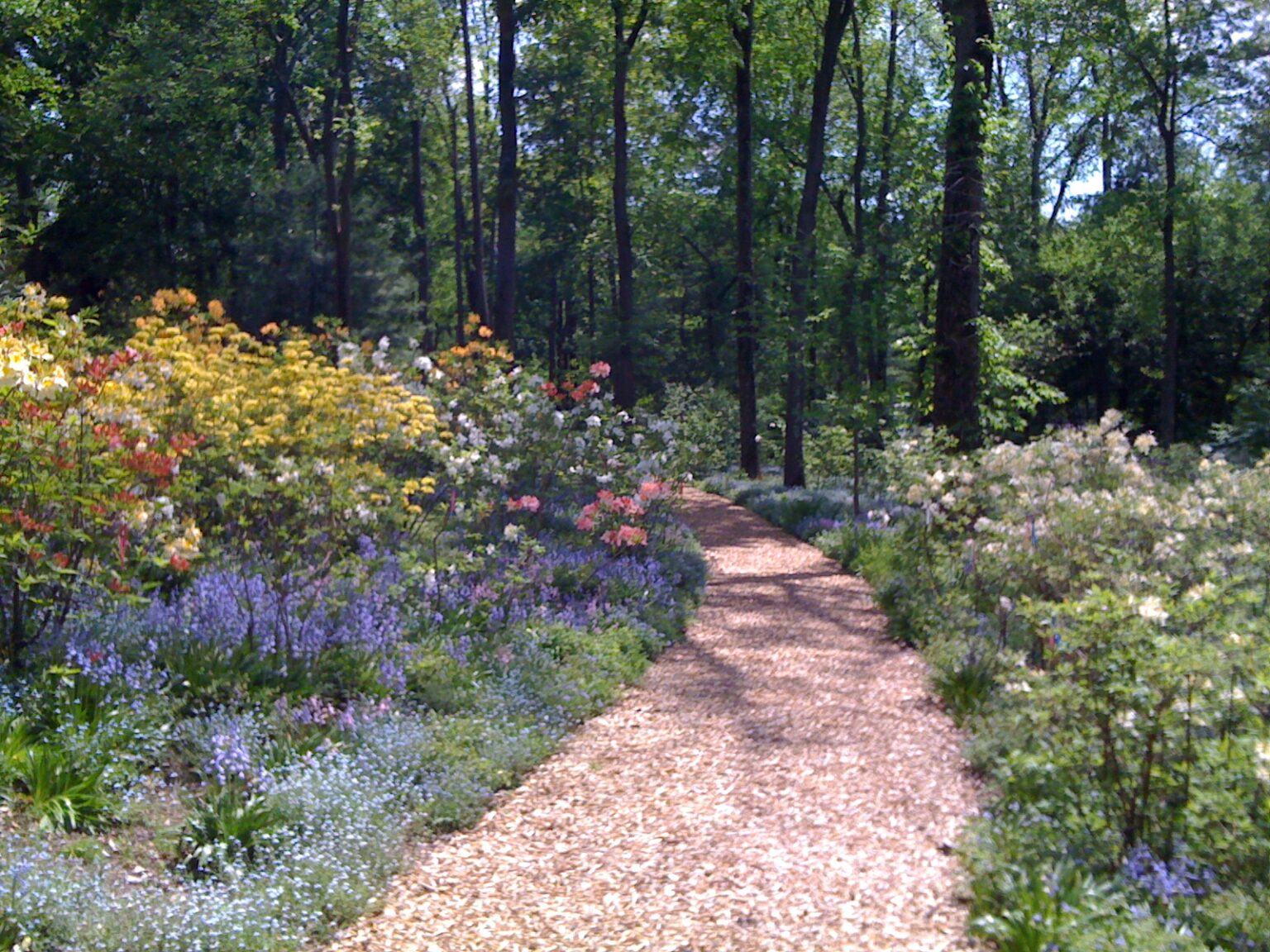 The Existential Buddhist – dharma without dogma